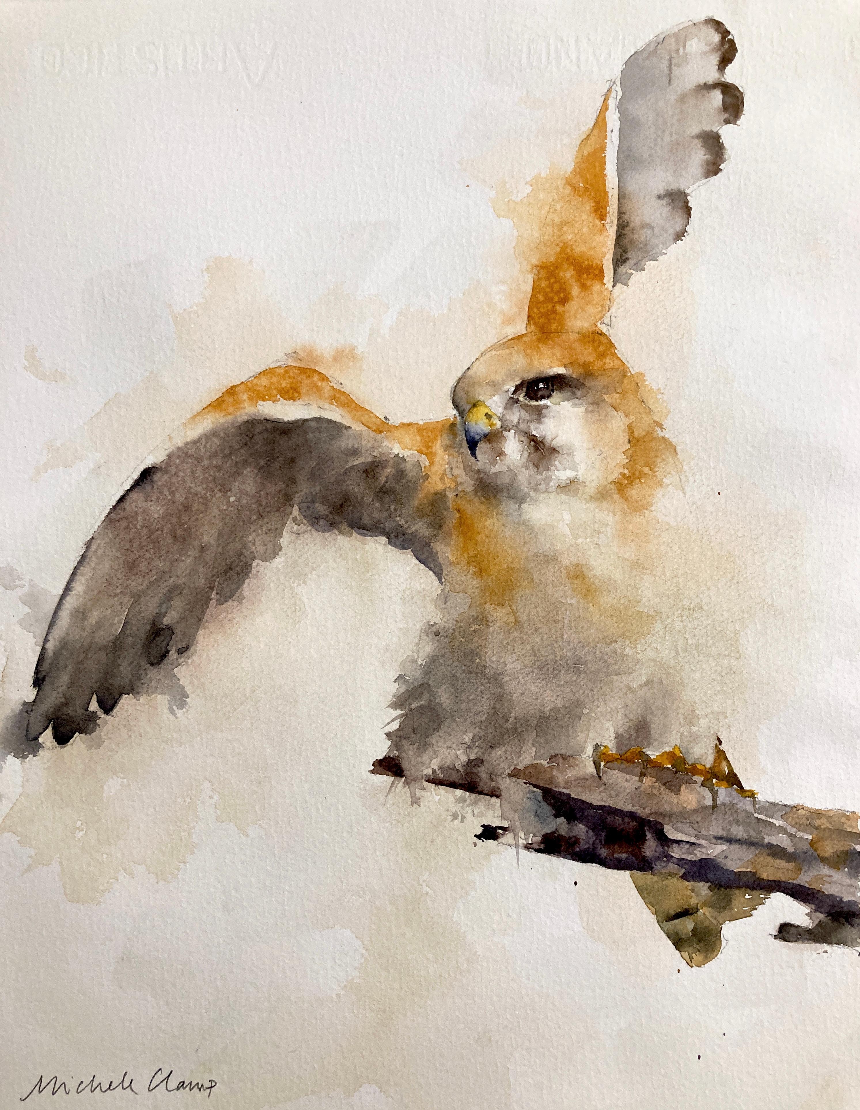 Original Drawing Kestrel Colored Pencil Drawing & Illustration etna.com.pe