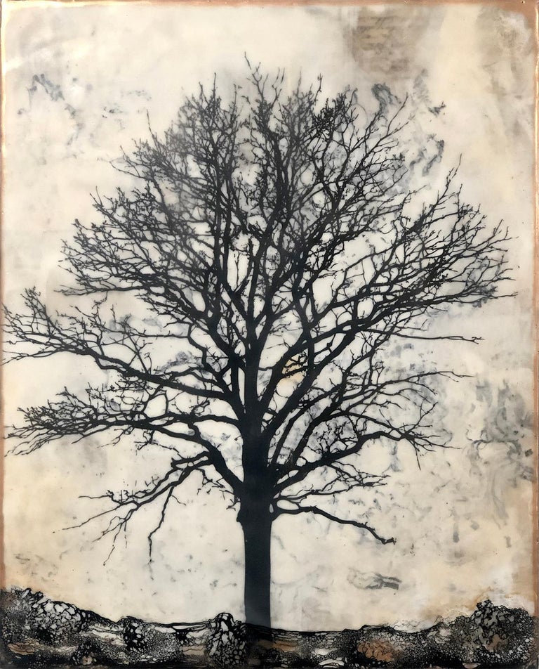 Shannon Amidon - A Tender Dream, Original Painting For Sale at 1stDibs