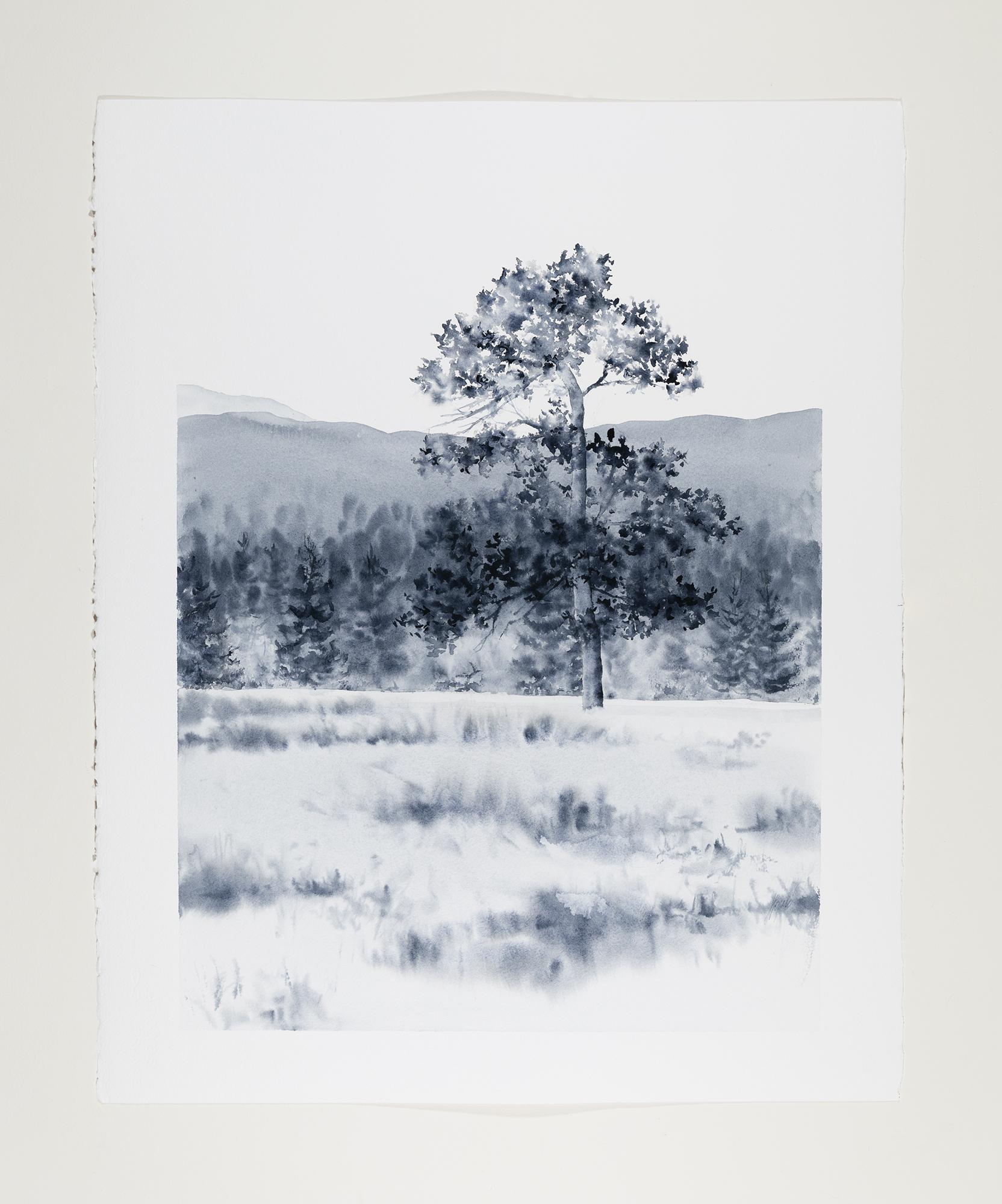 Jill Poyerd - Rocky Mountain Native For Sale at 1stDibs