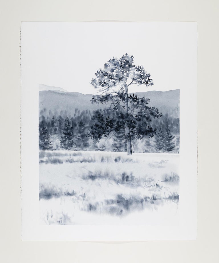 Jill Poyerd - Rocky Mountain Native For Sale at 1stDibs