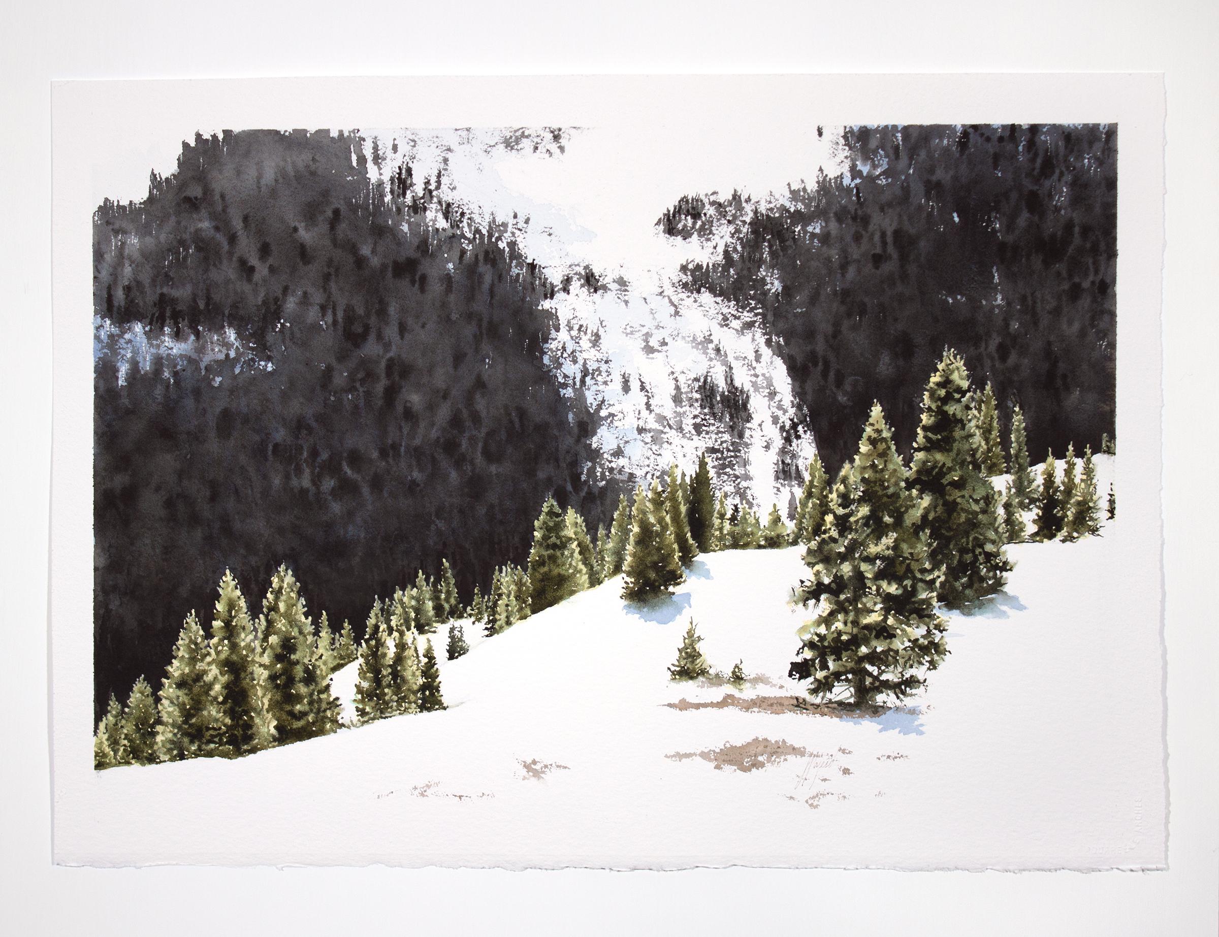 Jill Poyerd - Backcountry Glade For Sale at 1stDibs