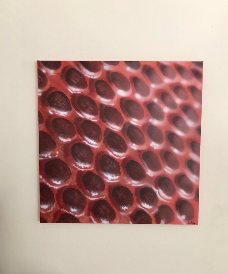 Stephen Capogna - Closeup-BB1 For Sale at 1stDibs