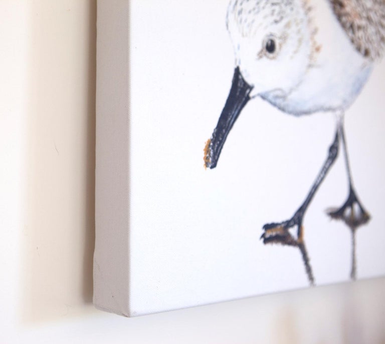 Emil Morhardt - Sanderling Duo, Original Painting at 1stDibs