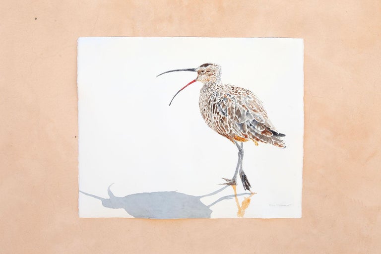 Emil Morhardt - Whimbrel #11 Speaking Out, Original Painting For Sale ...
