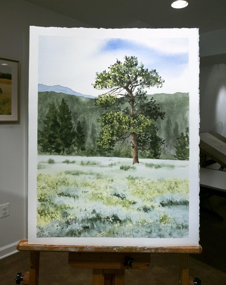 Jill Poyerd - Colorado Pine, Original Painting For Sale at 1stDibs