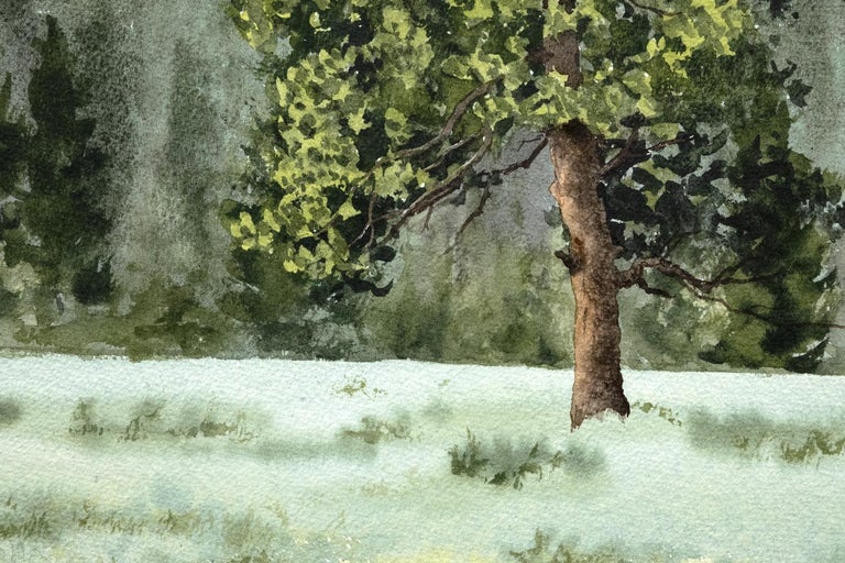 Jill Poyerd - Colorado Pine, Original Painting For Sale at 1stDibs