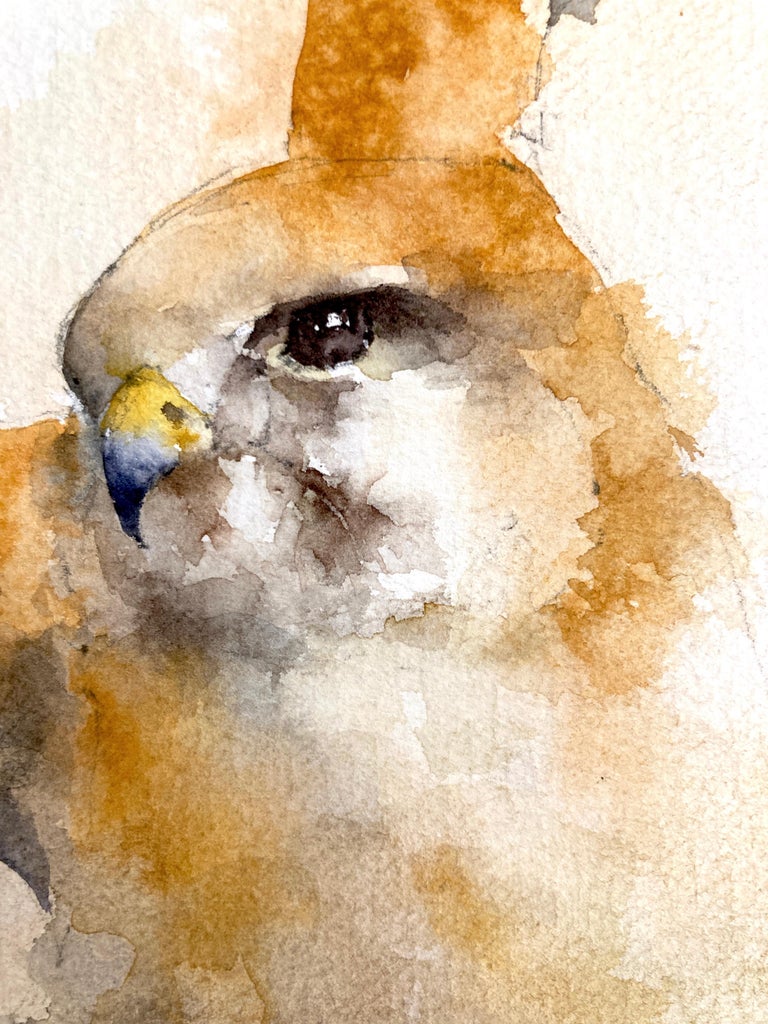 Michele Clamp - Landing Kestrel, Original Painting For Sale at 1stDibs