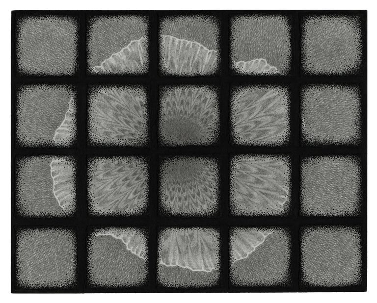 Adam Liam Rose - Stages of Fallout (grid to crater) For Sale at 1stDibs