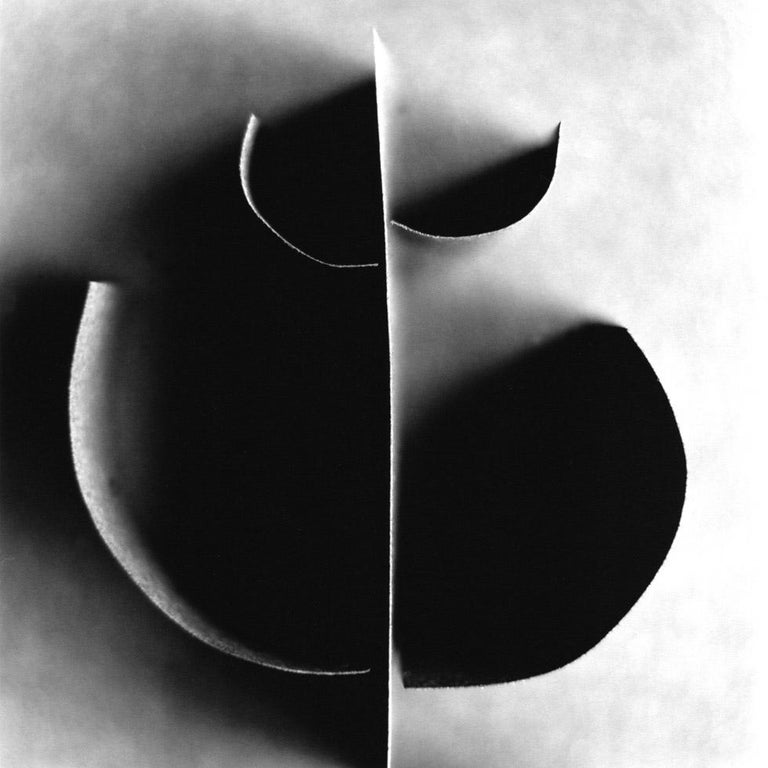 Ion Zupcu - Plant Without a Flower For Sale at 1stDibs