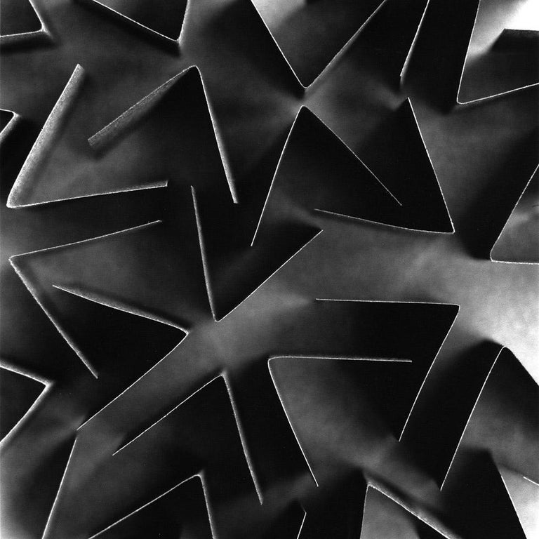 Ion Zupcu - Birds in Mind For Sale at 1stDibs | ion zupcu photography