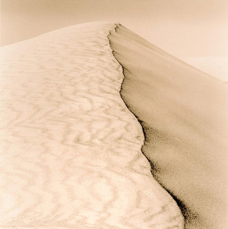 Robert Vizzini - Early Morning Light 4 (lumière du matin) En vente sur ...