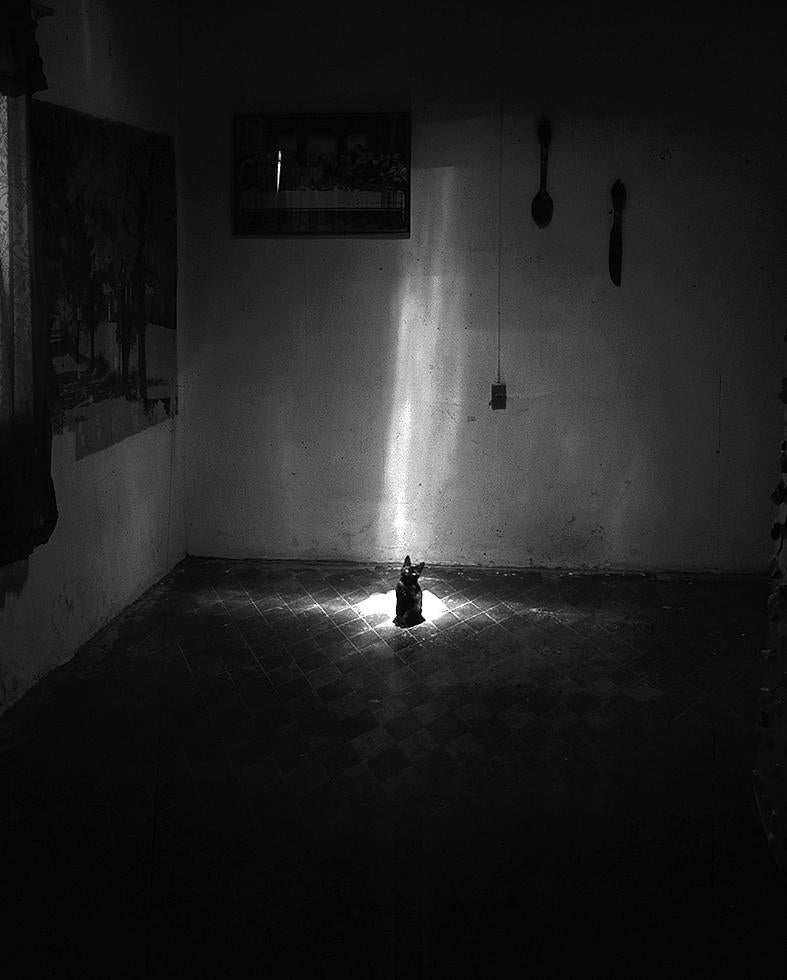 Erik Berglin - Bird #154 (Bubo Scandiacus) For Sale at 1stDibs