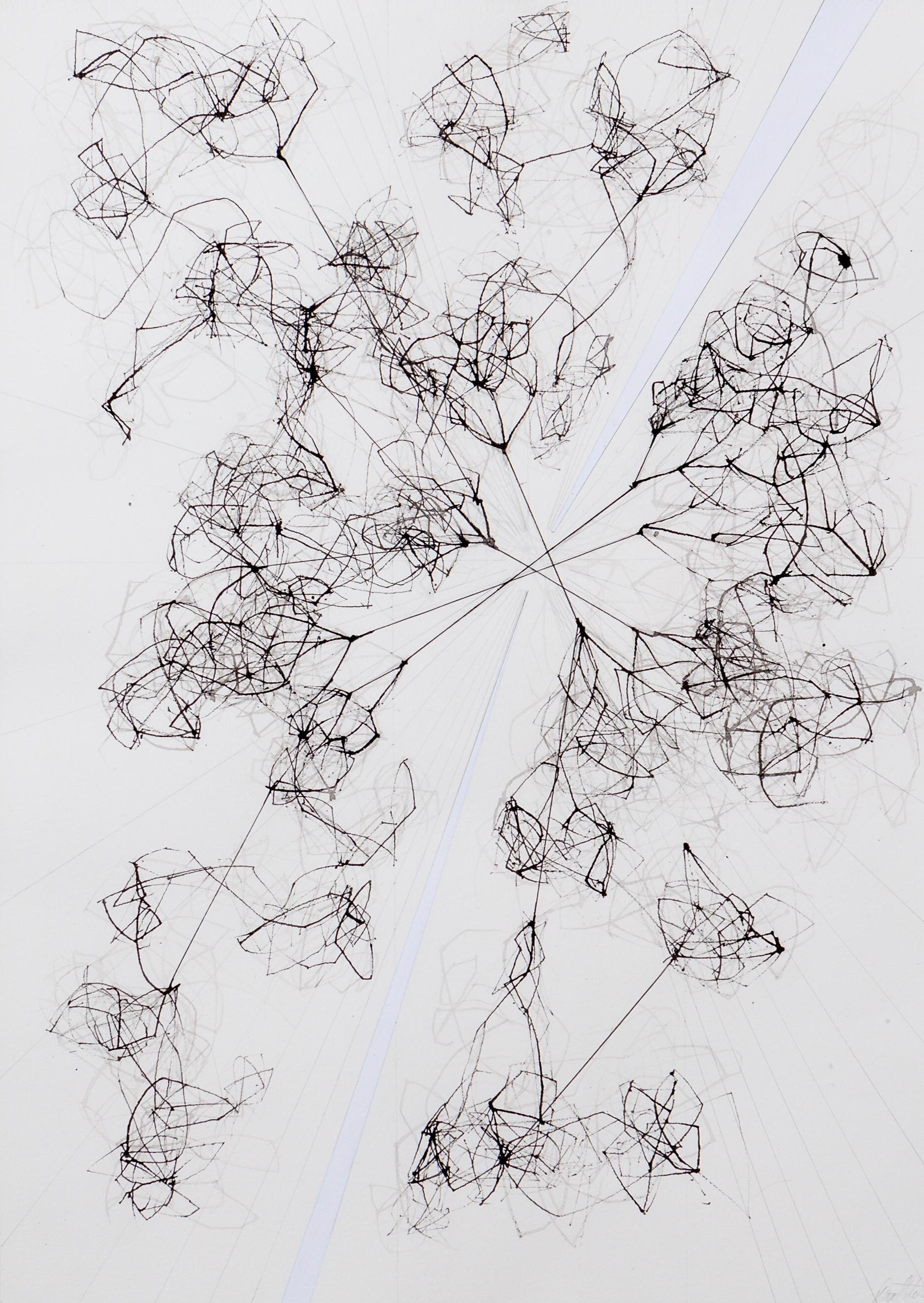 Halsey Chait - Singularity, Halsey Chait, Abstract India Ink Drawing ...