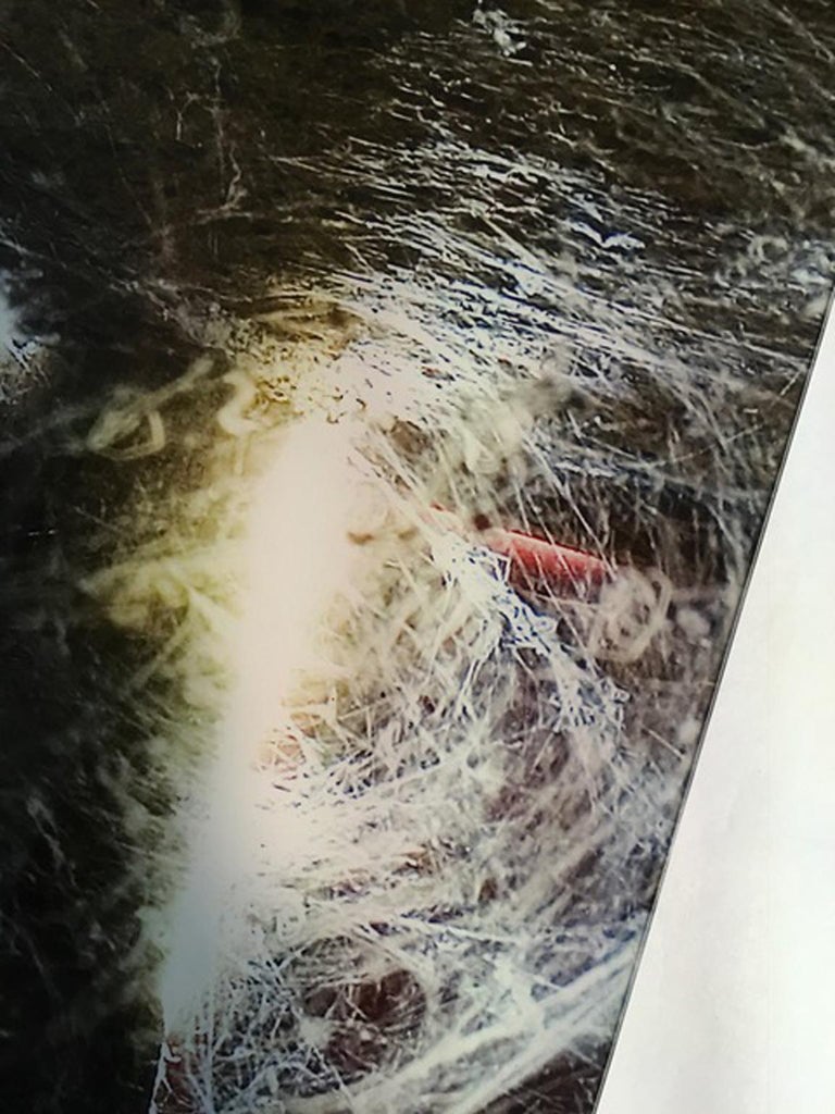 Giorgio Baroni - Reflections, Giorgio Baroni Photo on Steel and Crystal ...