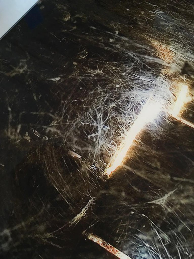 Giorgio Baroni - Reflections, Giorgio Baroni Photo on Steel and Crystal ...