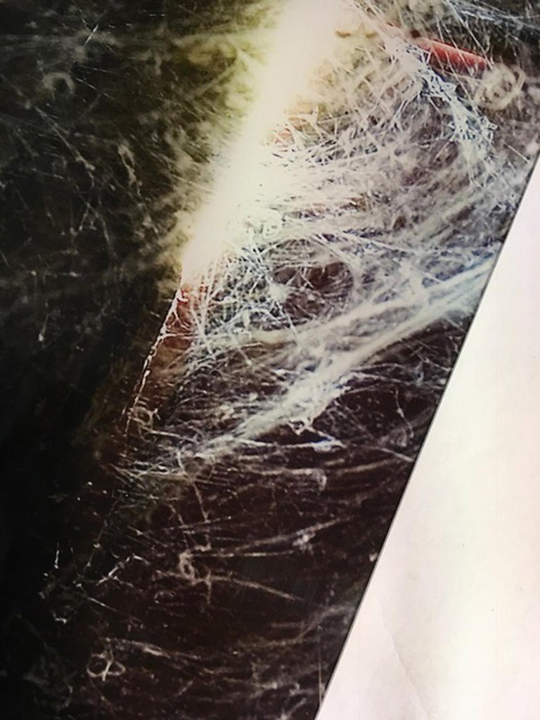 Giorgio Baroni - Reflections, Giorgio Baroni Photo on Steel and Crystal ...