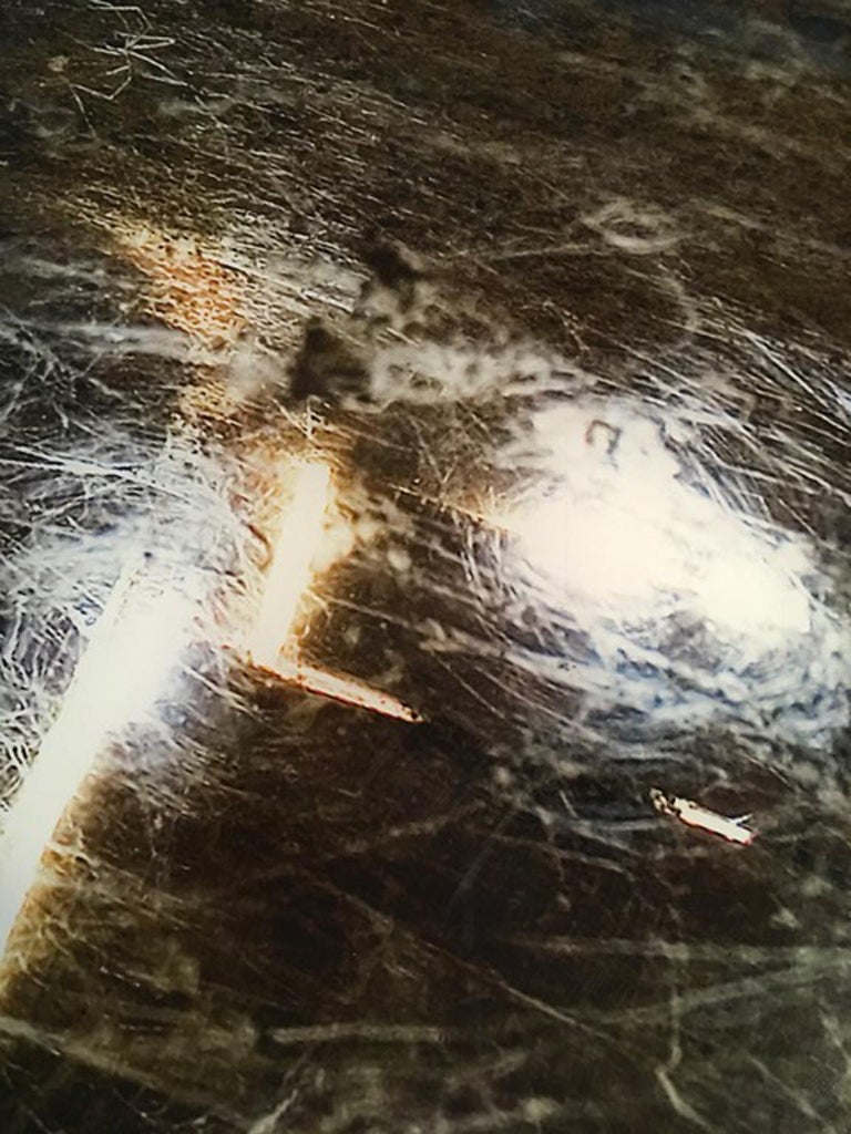 Giorgio Baroni - Reflections, Giorgio Baroni Photo on Steel and Crystal ...