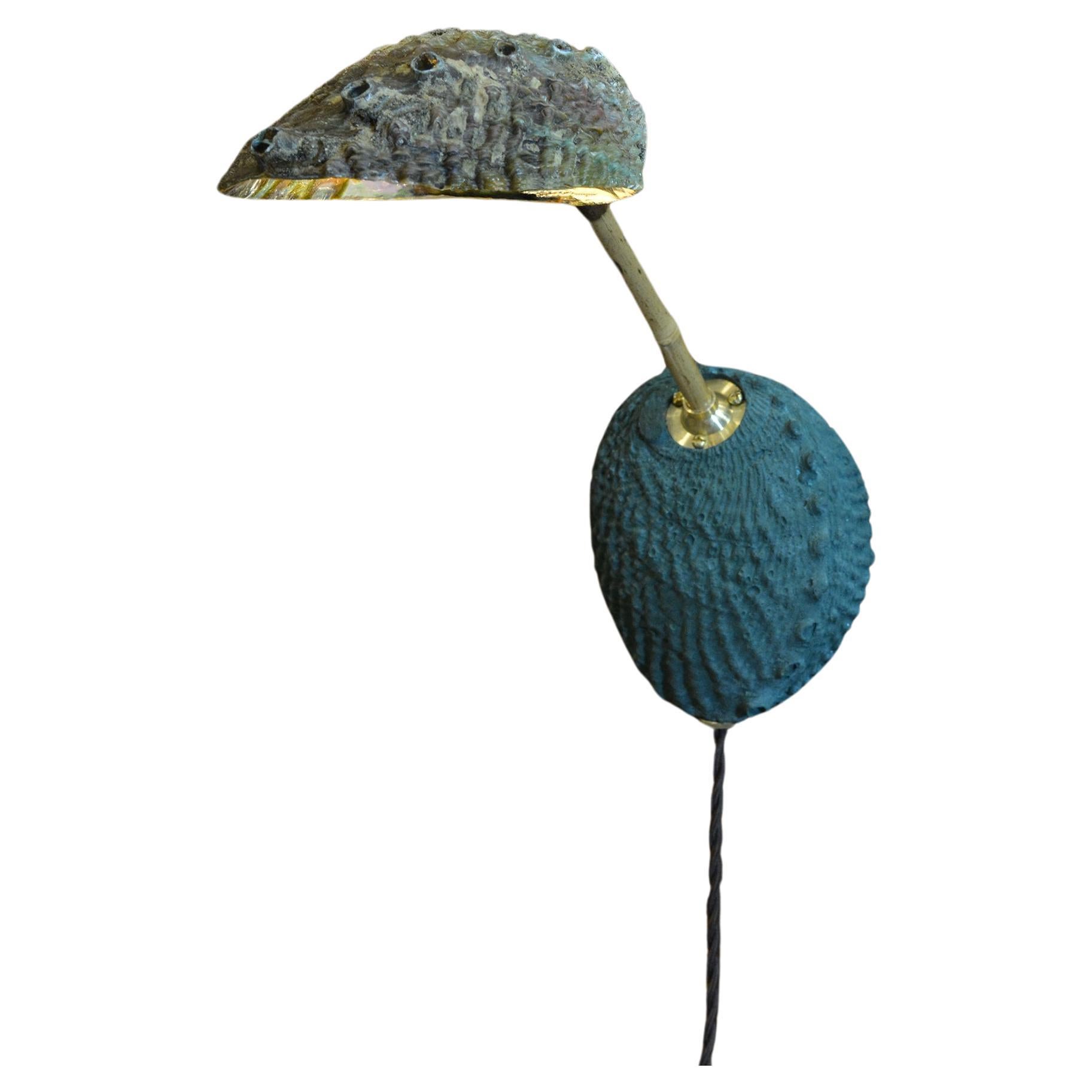 Abalone and Bamboo Articulated Wall Sconce with Natural Abalone Shell ...