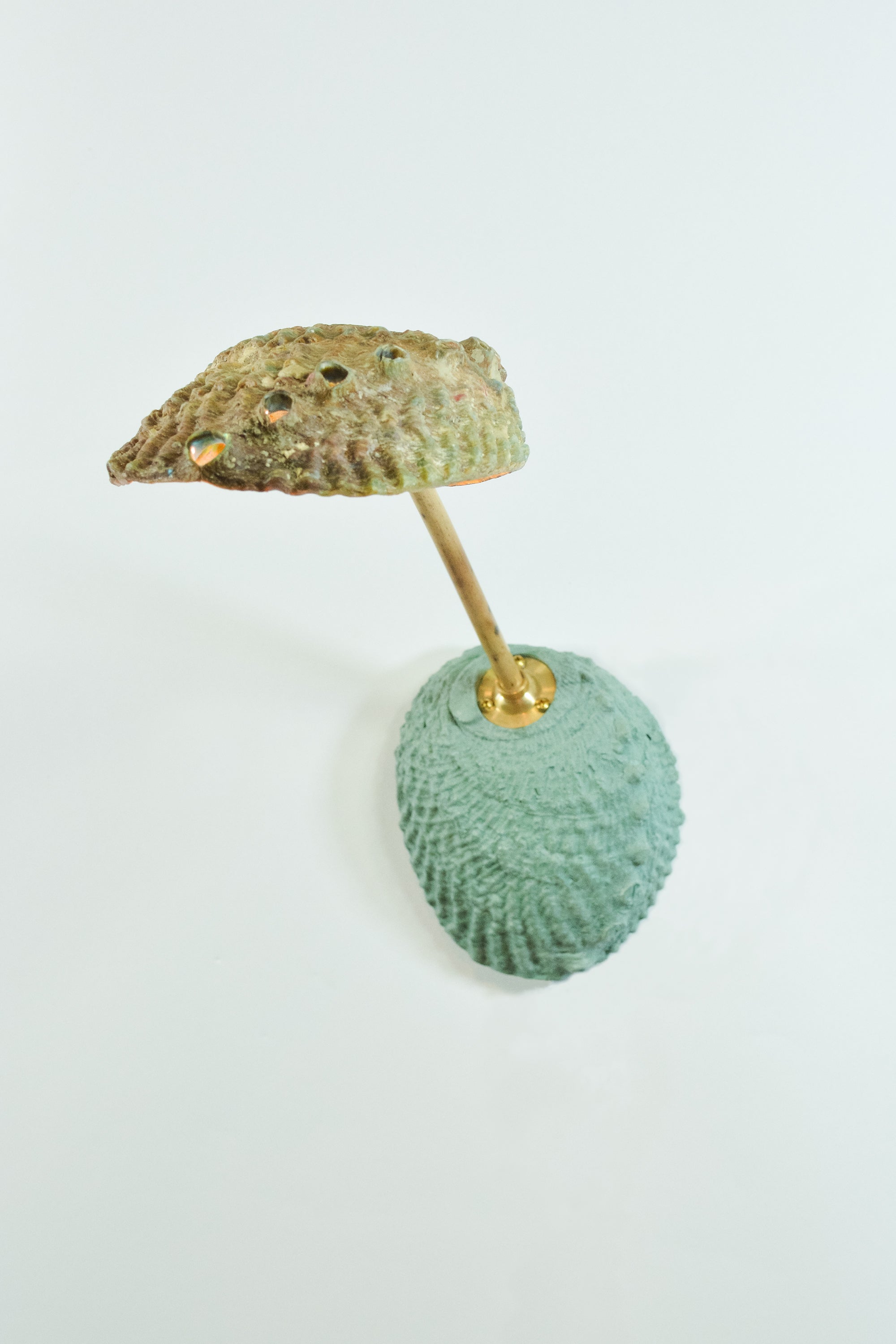 Abalone Desk Lamp in Chrome with Natural Seashell Shade [In Stock] For ...