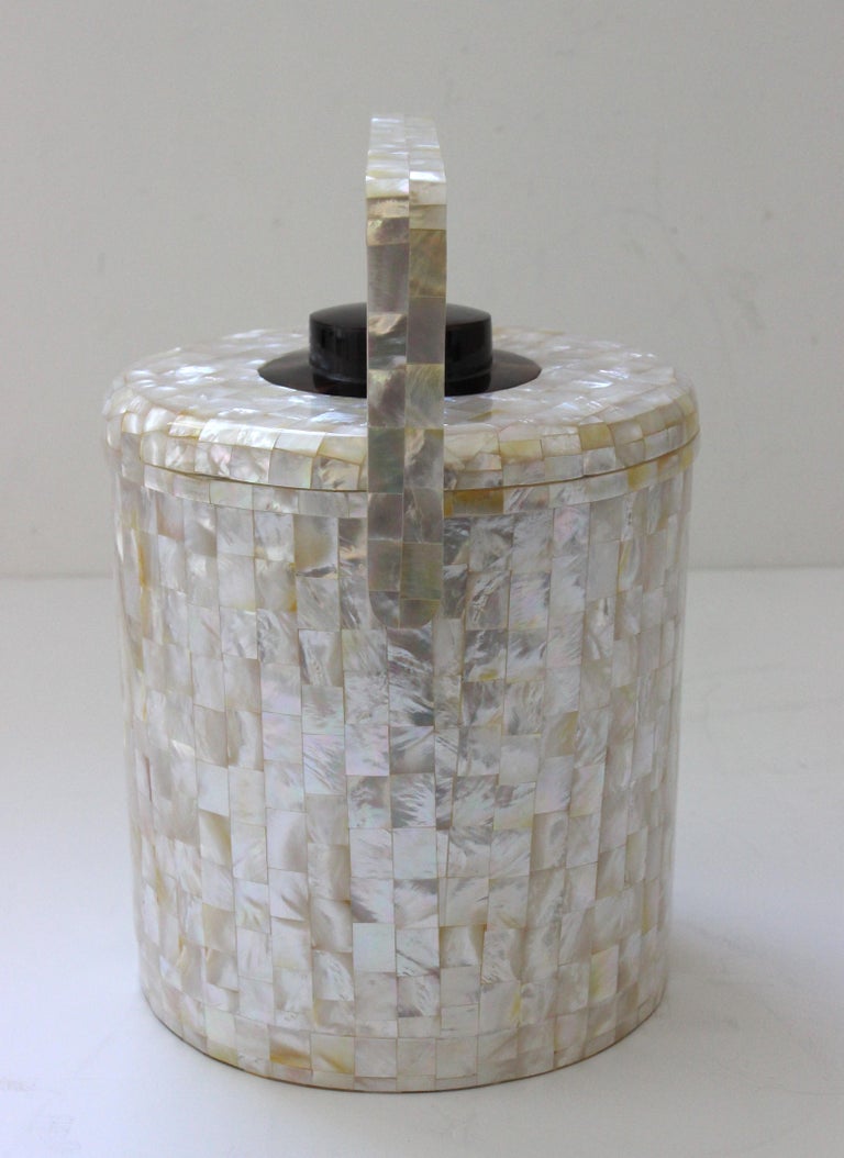 Abalone Shell Ice Bucket For Sale at 1stDibs