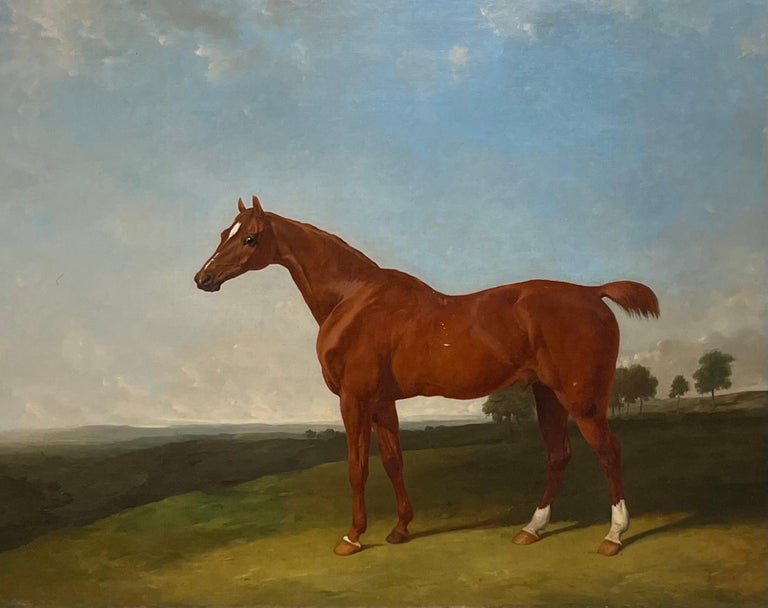 Abraham Cooper - A chestnut hunter in an open landscape For Sale at 1stDibs