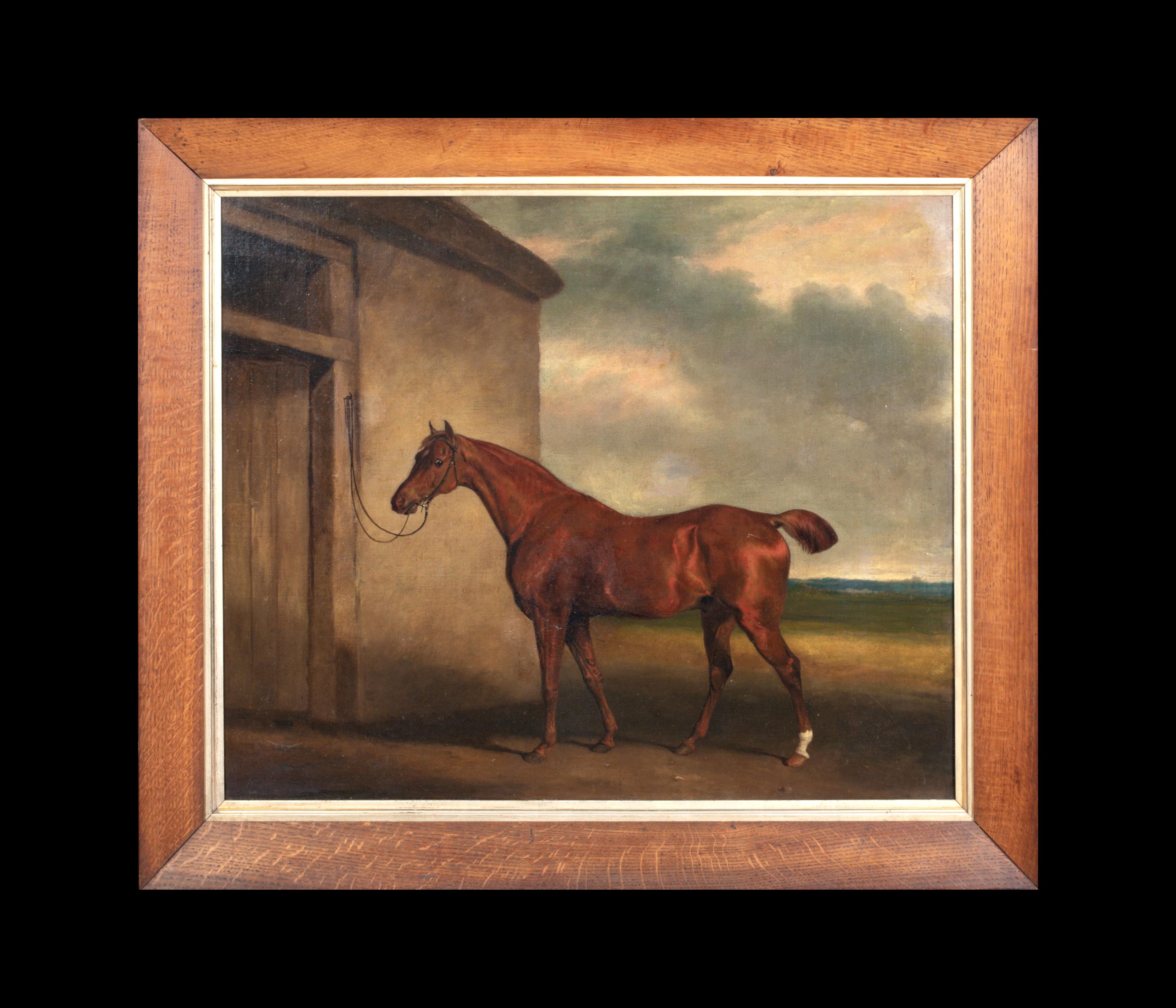 Abraham Cooper - Portrait Of An Irish Chestnut Hunter, circa 1820 by ...