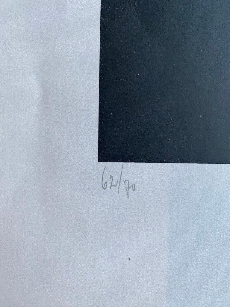 Abstract Color Screenprint by Luc Peire, Geometric Shapes in Blue and ...