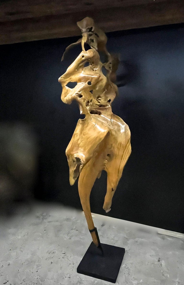 Abstract Mahogany Root Sculpture, Laquered on Black Metal Stand, 2022 ...