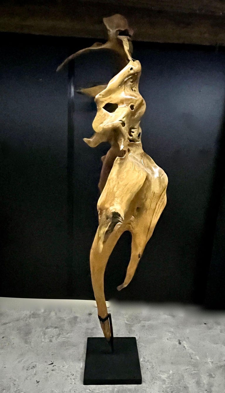 Abstract Mahogany Root Sculpture, Laquered on Black Metal Stand, 2022 ...