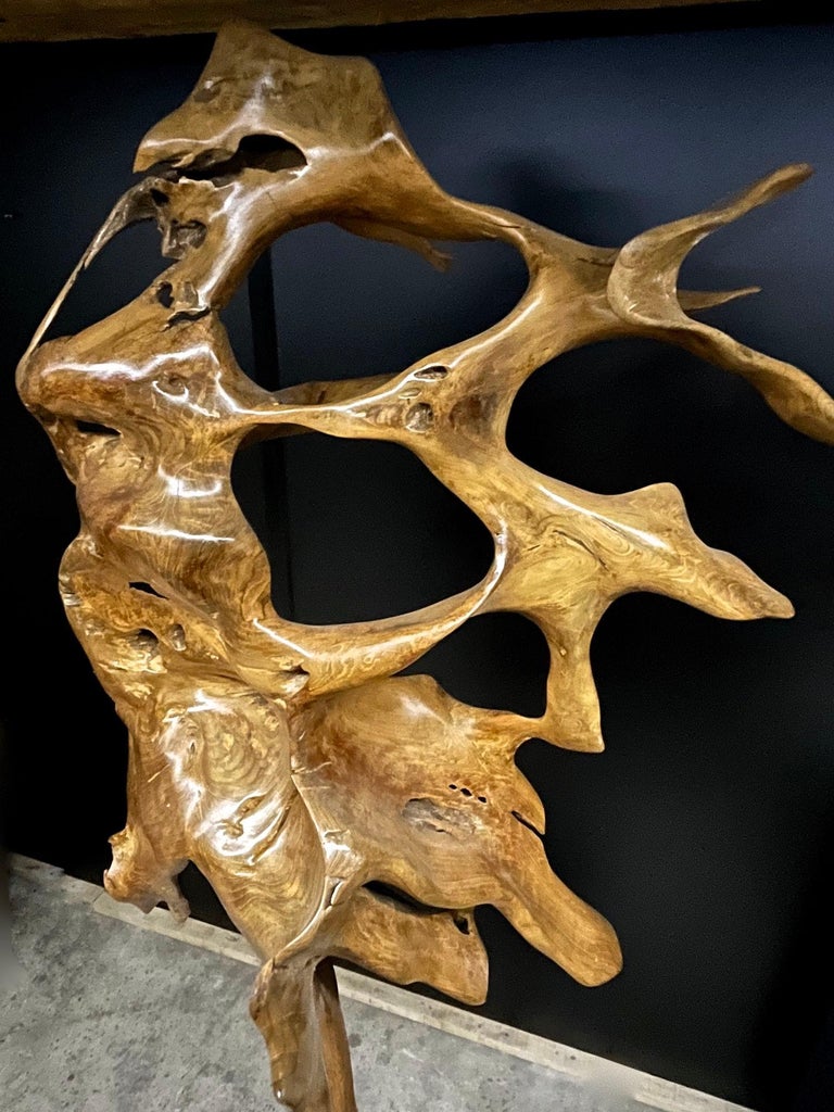 Abstract Mahogany Root Sculpture, Laquered on Black Metal Stand, 2022 ...