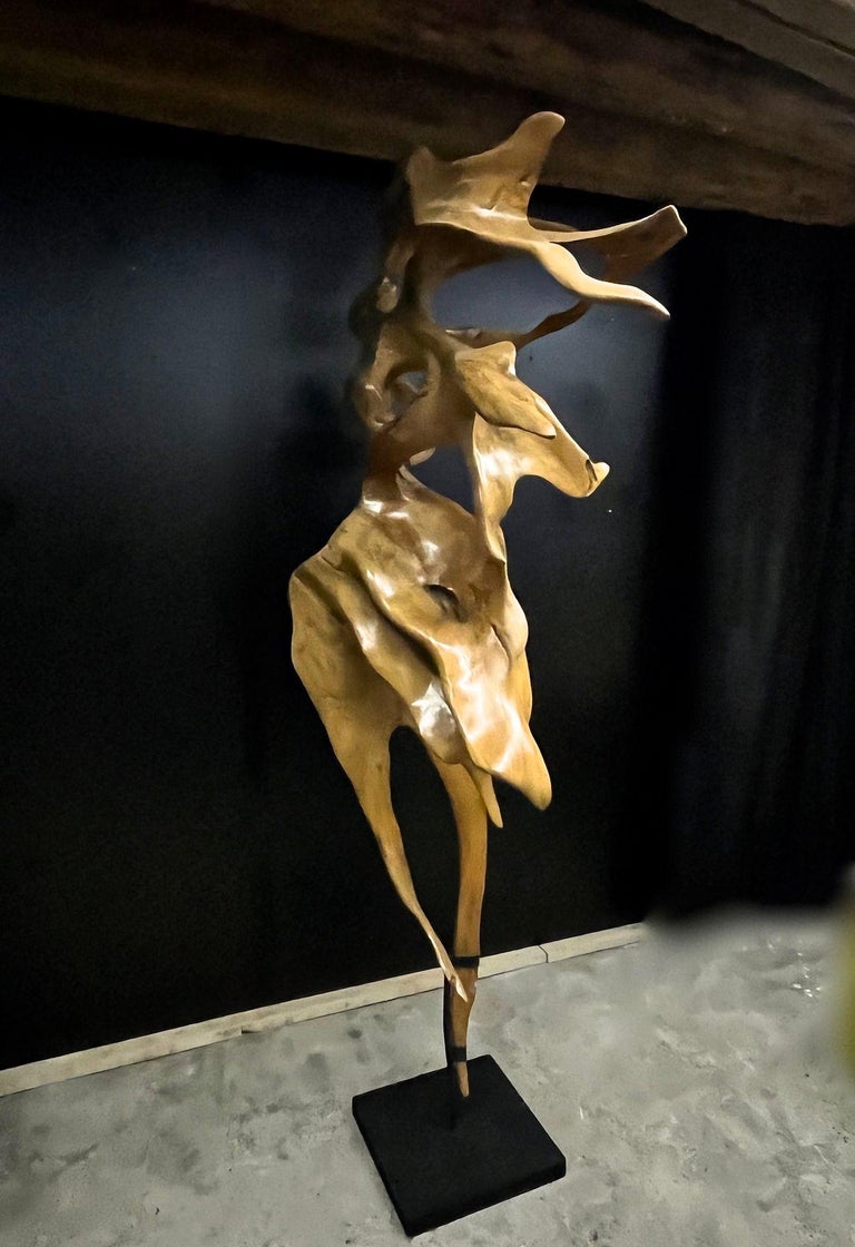 Abstract Mahogany Root Sculpture, Laquered on Black Metal Stand, 2022 ...