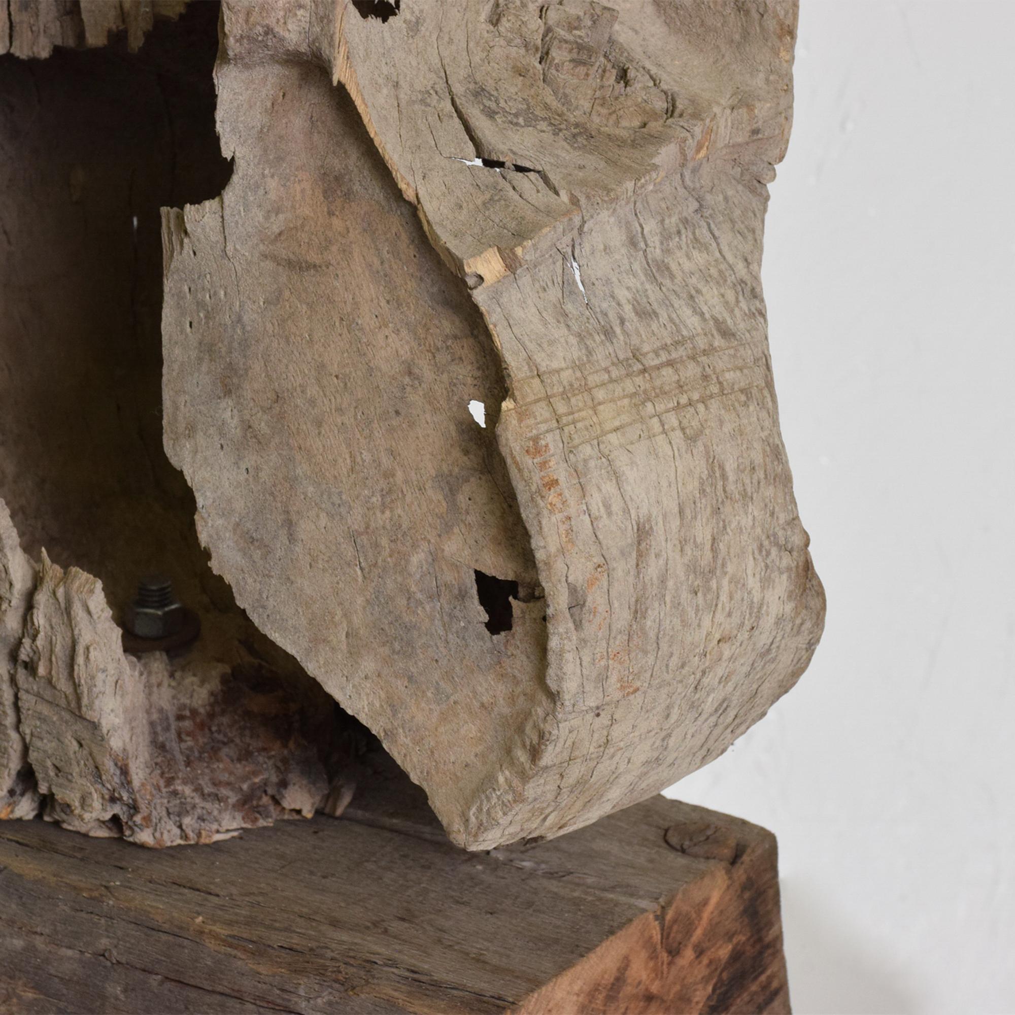 Abstract Mesquite Organic Modern Carved Wood Sculpture, Mexico, 1950s ...