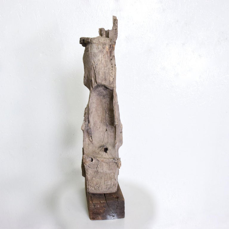 Abstract Mesquite Organic Modern Carved Wood Sculpture, Mexico, 1950s ...