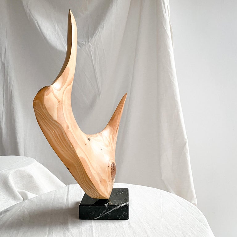 Abstract modernist freeform wooden sculpture, hand carved, 1970s For ...