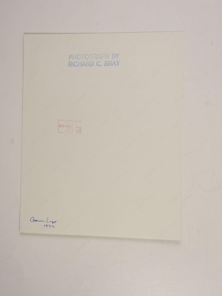 Abstract Portrait Micrograph Photograph by Richard Bray For Sale at 1stDibs