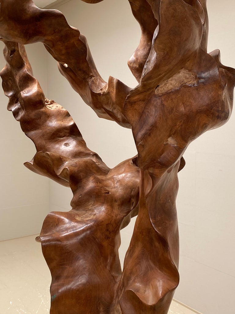 Big Scale Abstract Sculpture, Tree Root in Teak Wood. For Sale at 1stDibs