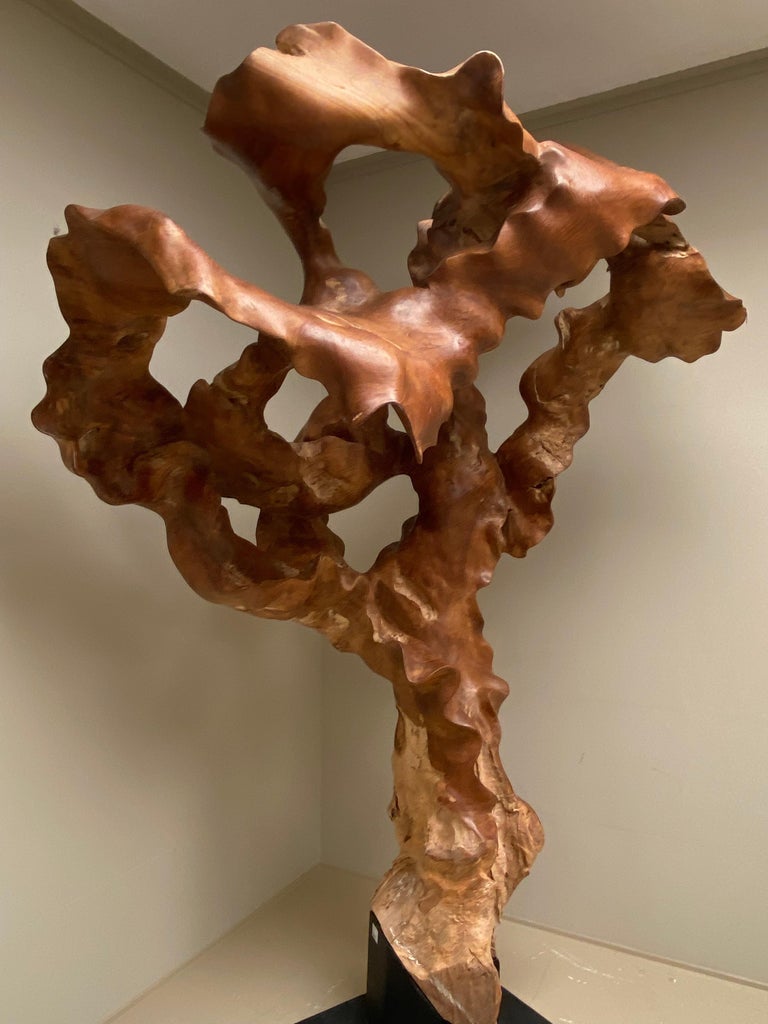 Big Scale Abstract Sculpture, Tree Root in Teak Wood. For Sale at 1stDibs