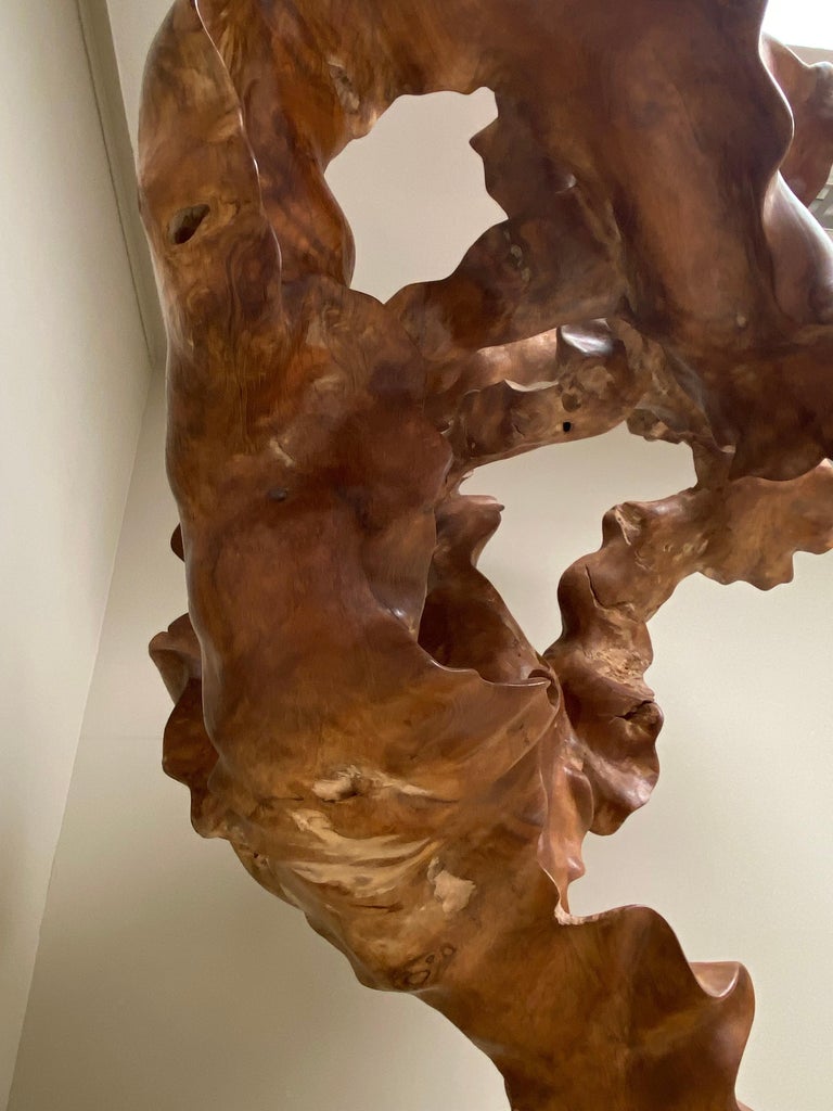 Big Scale Abstract Sculpture, Tree Root in Teak Wood. For Sale at 1stDibs