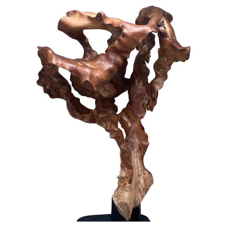Big Scale Abstract Sculpture, Tree Root in Teak Wood. For Sale at 1stDibs