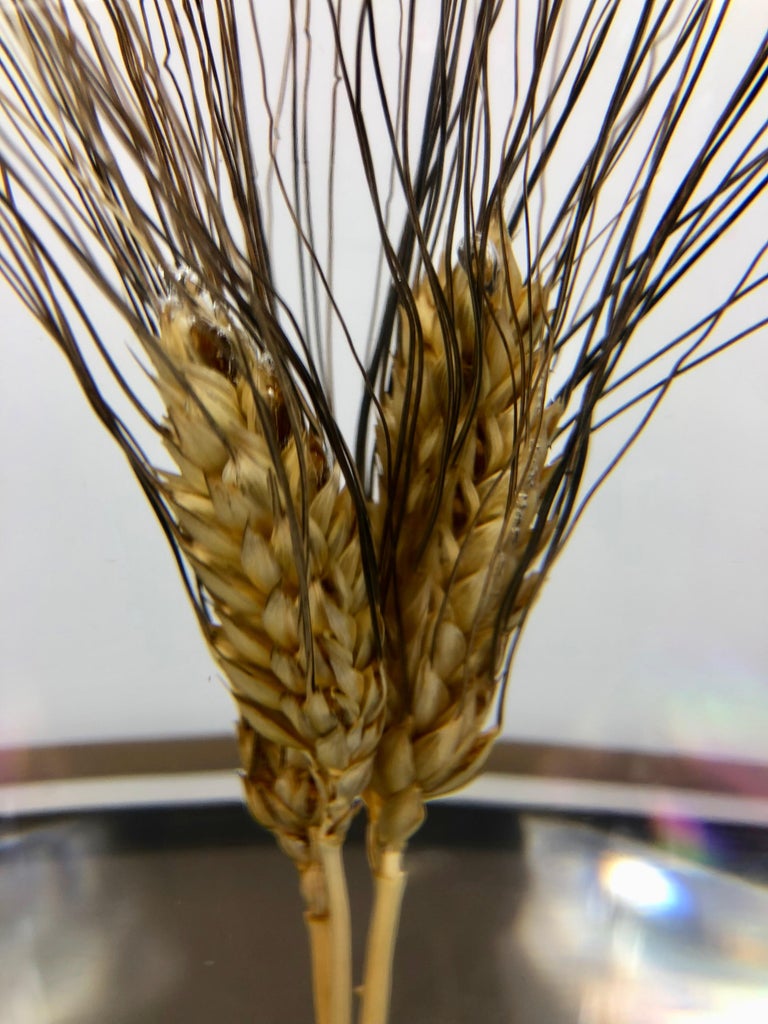 Acrylic Wheat Ear Cylindrical Sculpture in Modern Style, Italy at 1stDibs