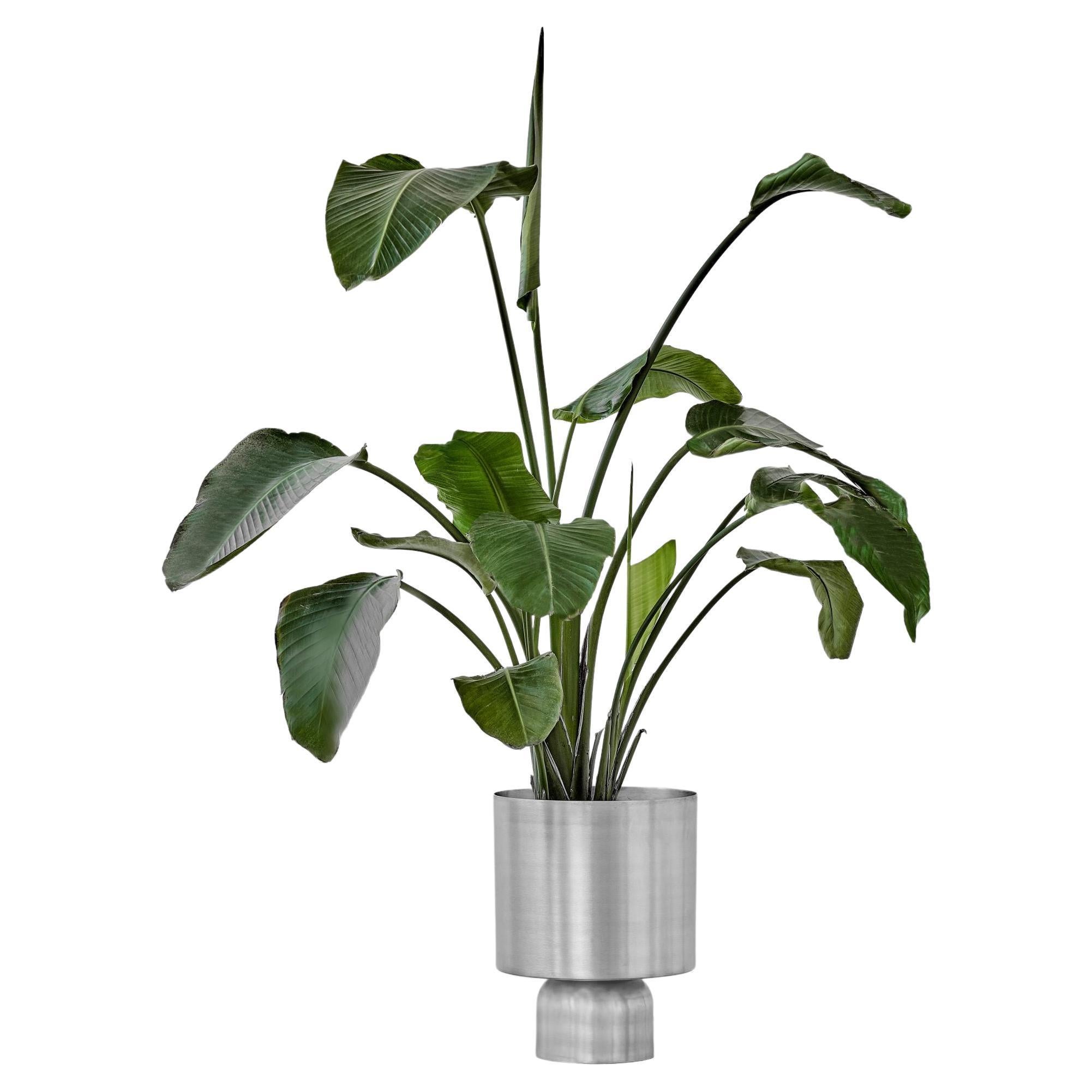 Set of 2 Large Ada Planters by Llot Llov For Sale at 1stDibs