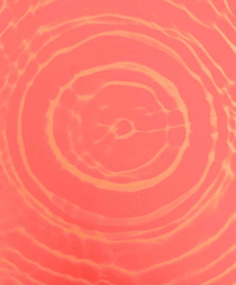 Adam Fuss by Christopher Bucklow, 1st Ed For Sale at 1stDibs