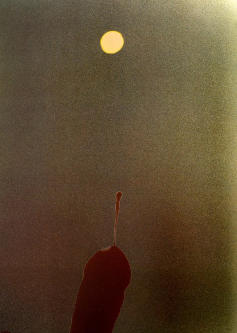 Adam Fuss by Christopher Bucklow, 1st Ed For Sale at 1stDibs