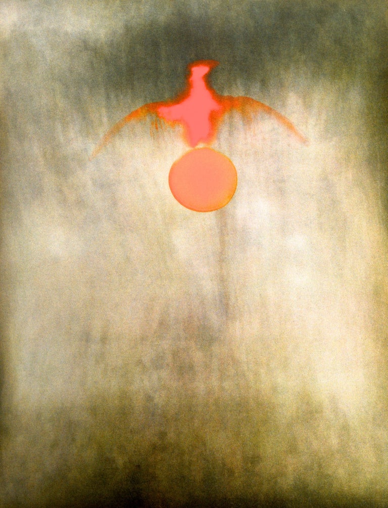 Adam Fuss by Christopher Bucklow, 1st Ed For Sale at 1stDibs