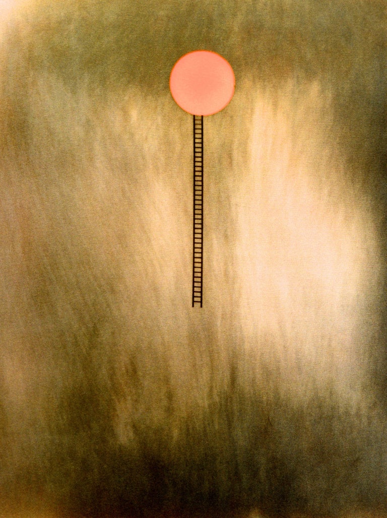 Adam Fuss by Christopher Bucklow, 1st Ed For Sale at 1stDibs
