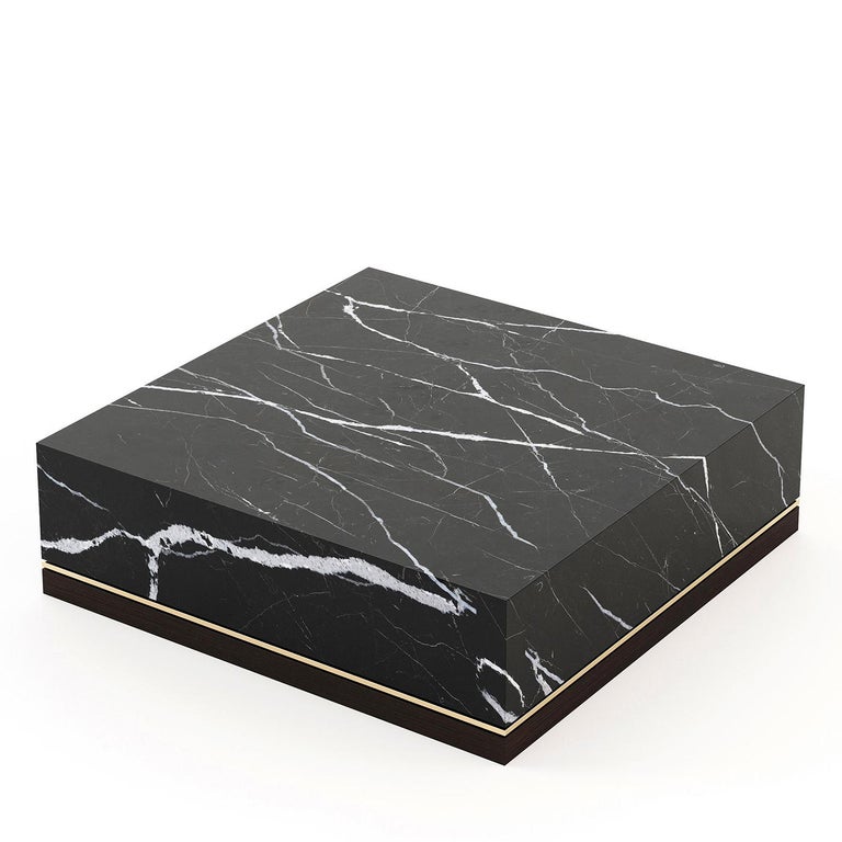 Adamo Coffee Table For Sale at 1stDibs