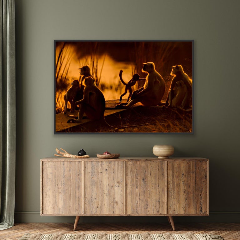 Aditya Dicky Singh - Animal Landscape Large Photography Family Nature ...