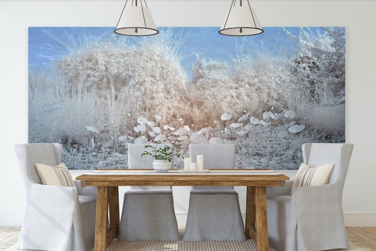 Aditya Dicky Singh - Large Landscape Ethereal Nature Wildlife ...