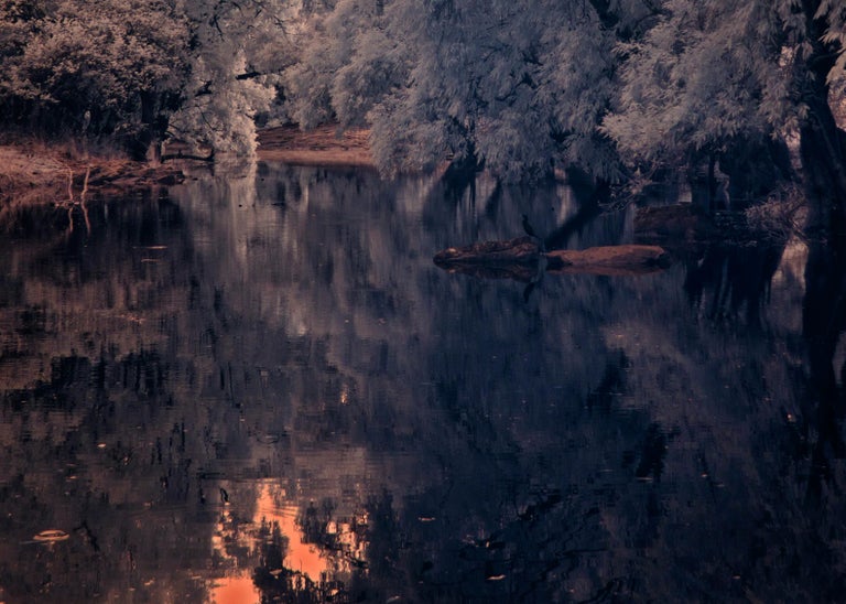 Aditya Dicky Singh Large Landscape Vintage Forest Nature Lake Tree