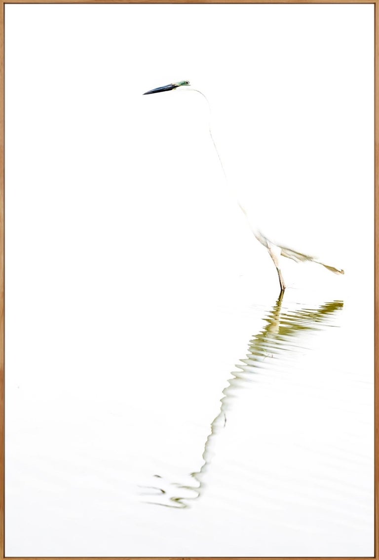 Aditya Dicky Singh - Grande photographie minimaliste - Nature - Oiseau ...